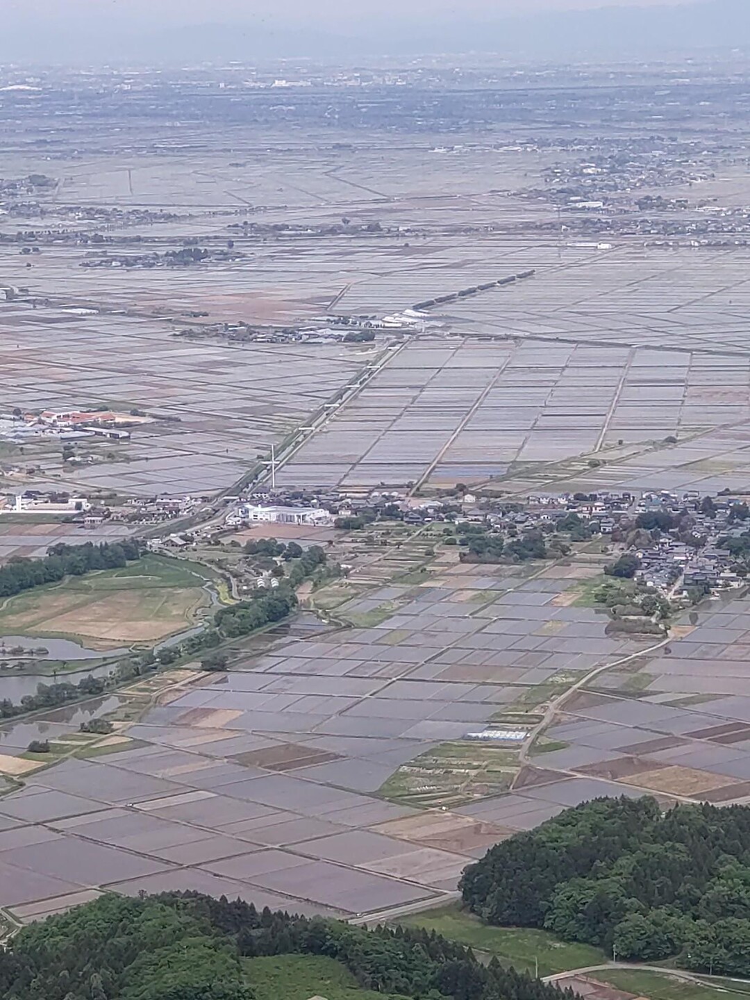 角田山 稲島コース 16-13 / P-kanさんの角田山の活動データ | YAMAP / ヤマップ