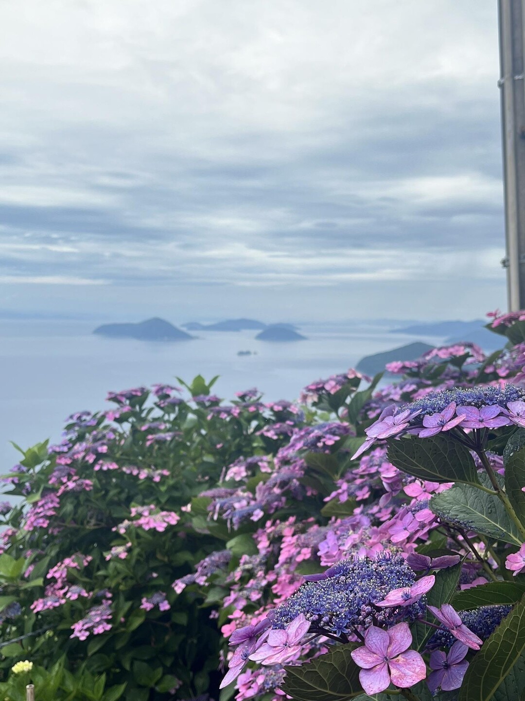 博智山・妙見山・紫雲出山 / RUBYさんの荘内半島（三崎半島）・粟島の活動データ | YAMAP / ヤマップ