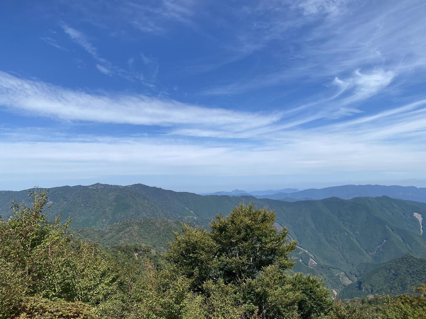 池木屋山 / TKOさんの池木屋山の活動データ | YAMAP / ヤマップ