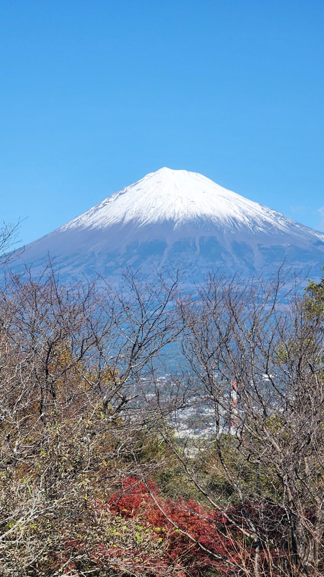 スーツでトレッキングの『岩本山』 / tamuさんの岩本山・明星山の活動データ | YAMAP / ヤマップ