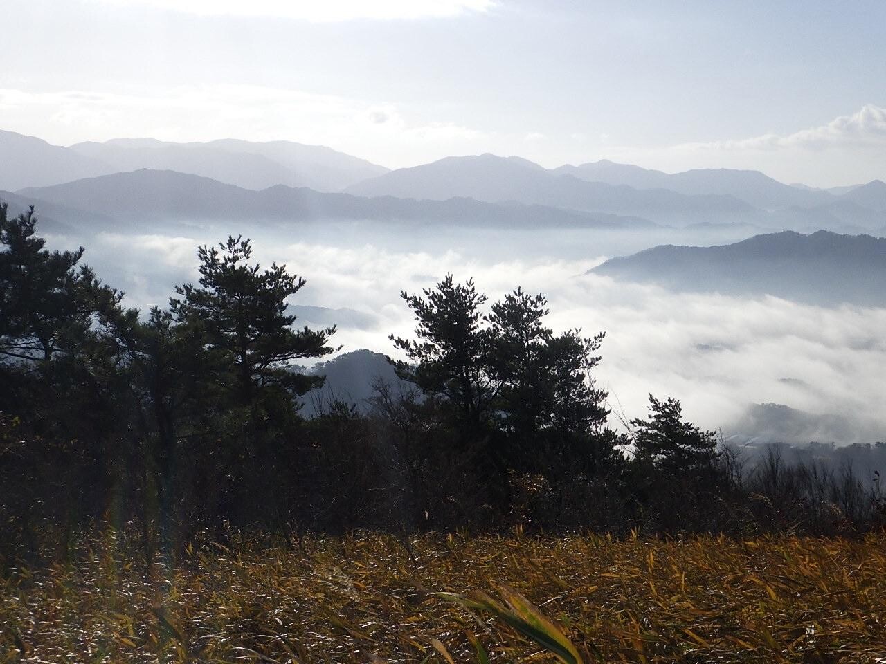 三山繋がりで蒜山🍡 2023.1210 / ちょくさんの蒜山の活動データ | YAMAP / ヤマップ