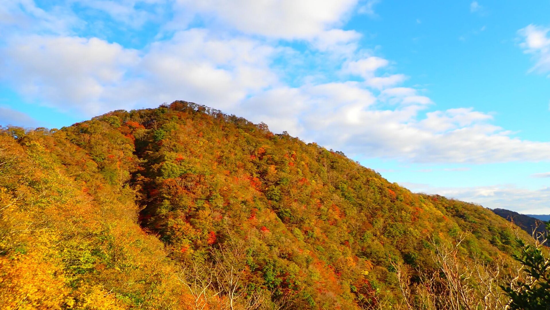 小津権現山 / gumiさんの小津権現山・花房山の活動データ | YAMAP / ヤマップ