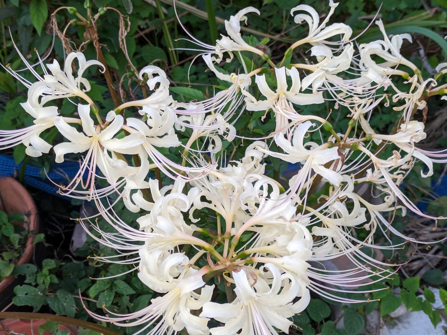 朝晩すっかりさむくなってきた… 筋肉痛、... / kecoさんのモーメント | YAMAP / ヤマップ