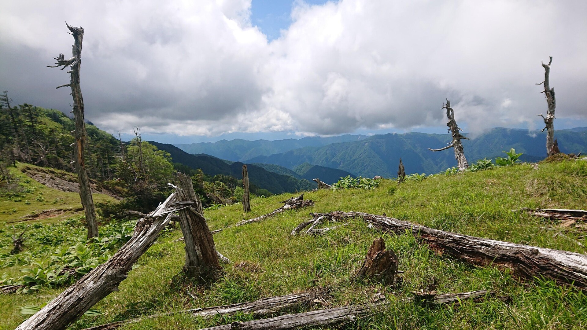 光岳 / mastankさんの聖岳・大沢岳・光岳の活動データ | YAMAP / ヤマップ