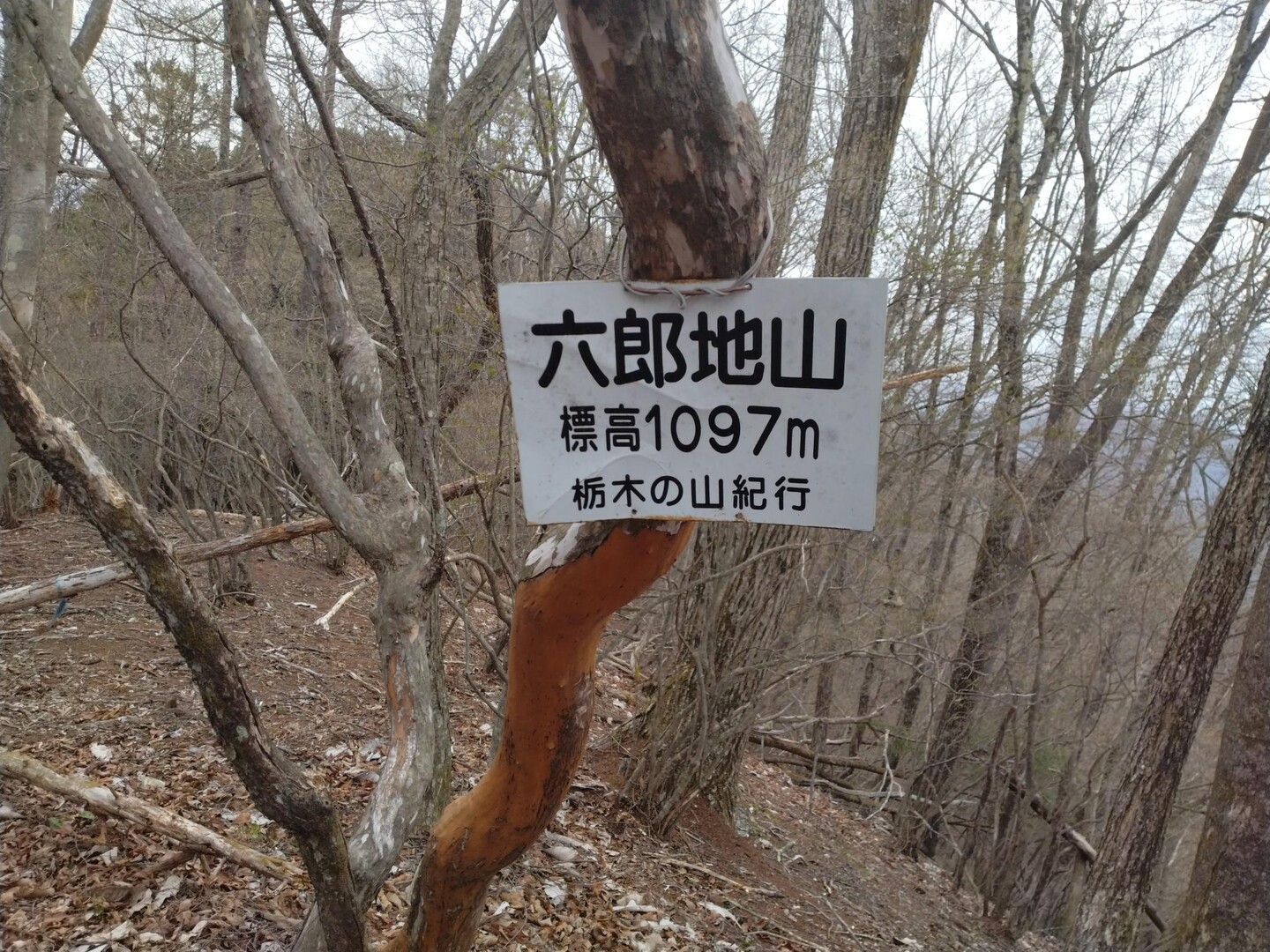 夕日岳・地蔵岳・薬師岳・丸山・大木戸山・三ノ宿山・六郎地山 / 俊國さんの夕日岳・薬師岳の活動日記 | YAMAP / ヤマップ