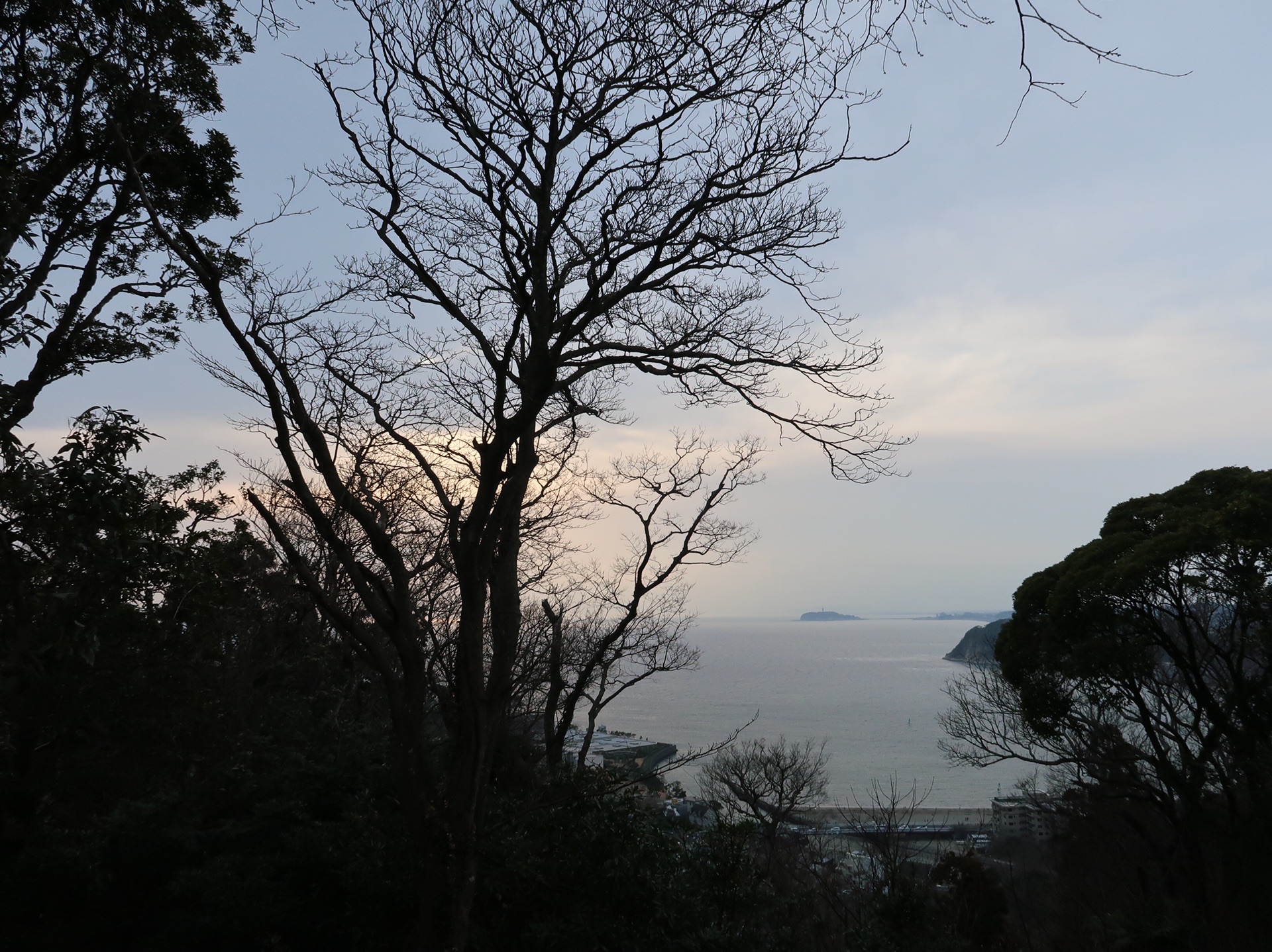 葉山側から桜山第二古墳へ / heeさんの三浦アルプス・二子山・仙元山の活動データ | YAMAP / ヤマップ