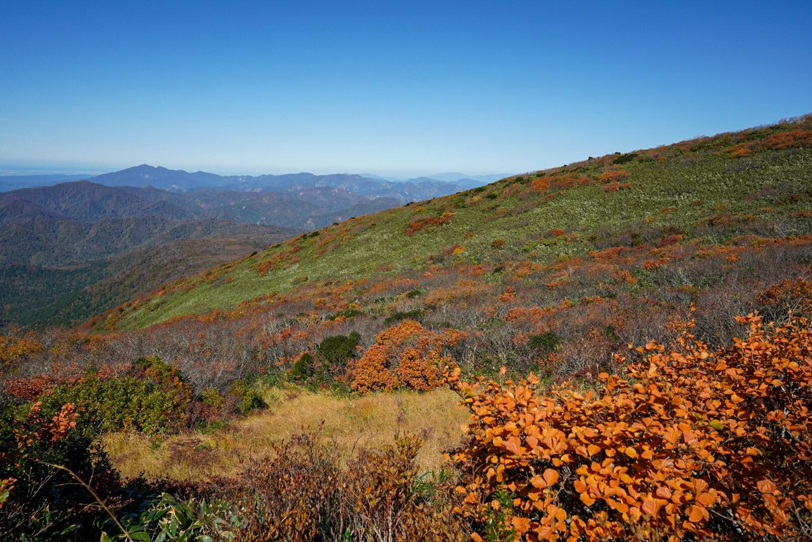 前岳・浅草岳・カヘヨノボッチ / t2さんの浅草岳・鬼ヶ面山の活動データ | YAMAP / ヤマップ