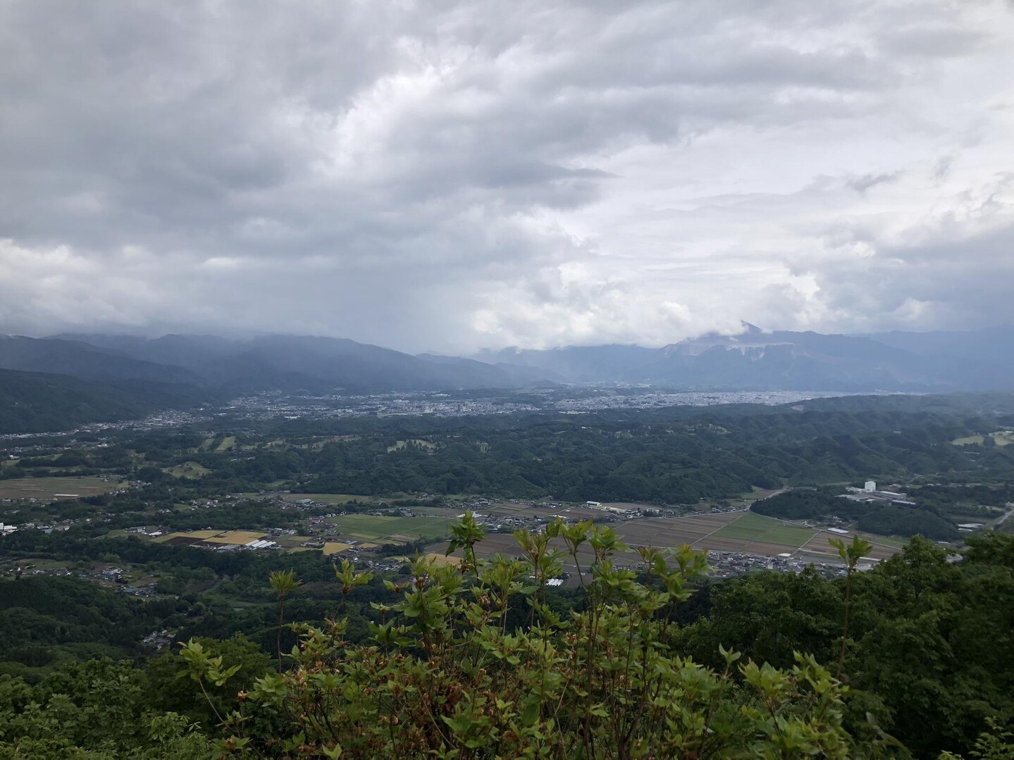 FTRみなの50K / はるさんの簑山の活動データ | YAMAP / ヤマップ