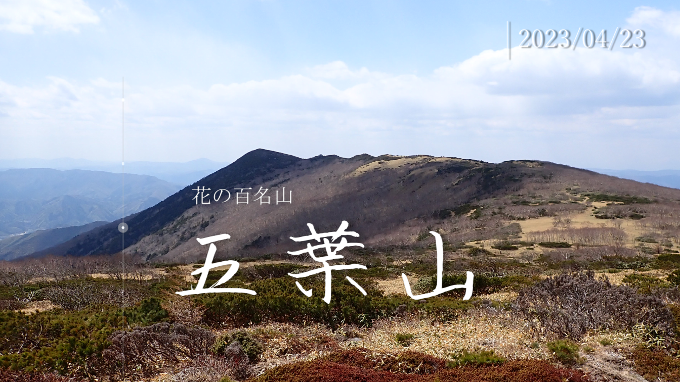 先月登った五葉山の動画をYoutubeに... / straysheepさんのモーメント | YAMAP / ヤマップ