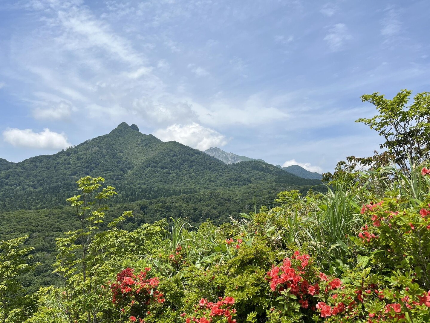 擬宝珠山•象山 / mimozaさんの烏ヶ山・象山（笹ヶ峰）の活動データ | YAMAP / ヤマップ