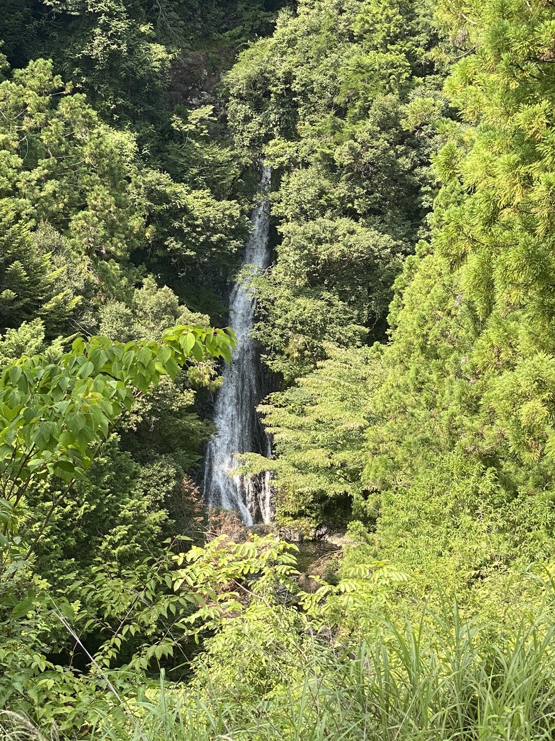 滝 十津川 北山周辺 / Abu Tsubasaさんのモーメント | YAMAP / ヤマップ