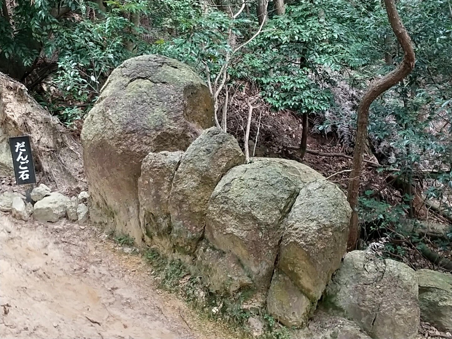 長等山・逢坂山 / srimatiさんの音羽山・醍醐山の活動データ | YAMAP / ヤマップ