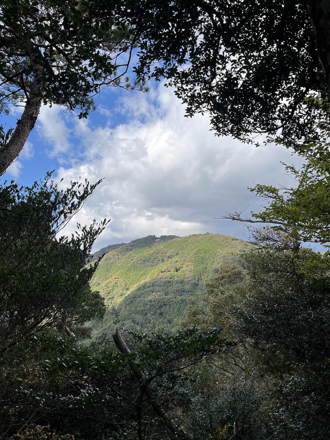 とよおか湖から~五井山・御堂山~ / Yum.26さんの五井山・宮路山・御堂山の活動データ | YAMAP / ヤマップ