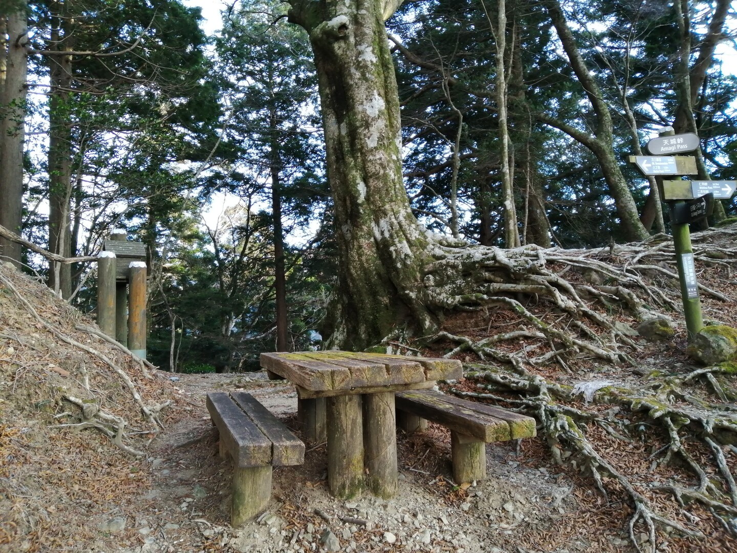 Assan Tineさんの投稿したフィールドメモ | YAMAP / ヤマップ