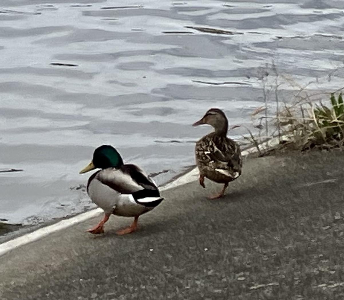 昨日のお休みは 福岡に帰って お部屋の掃... / motomickyさんのモーメント | YAMAP / ヤマップ