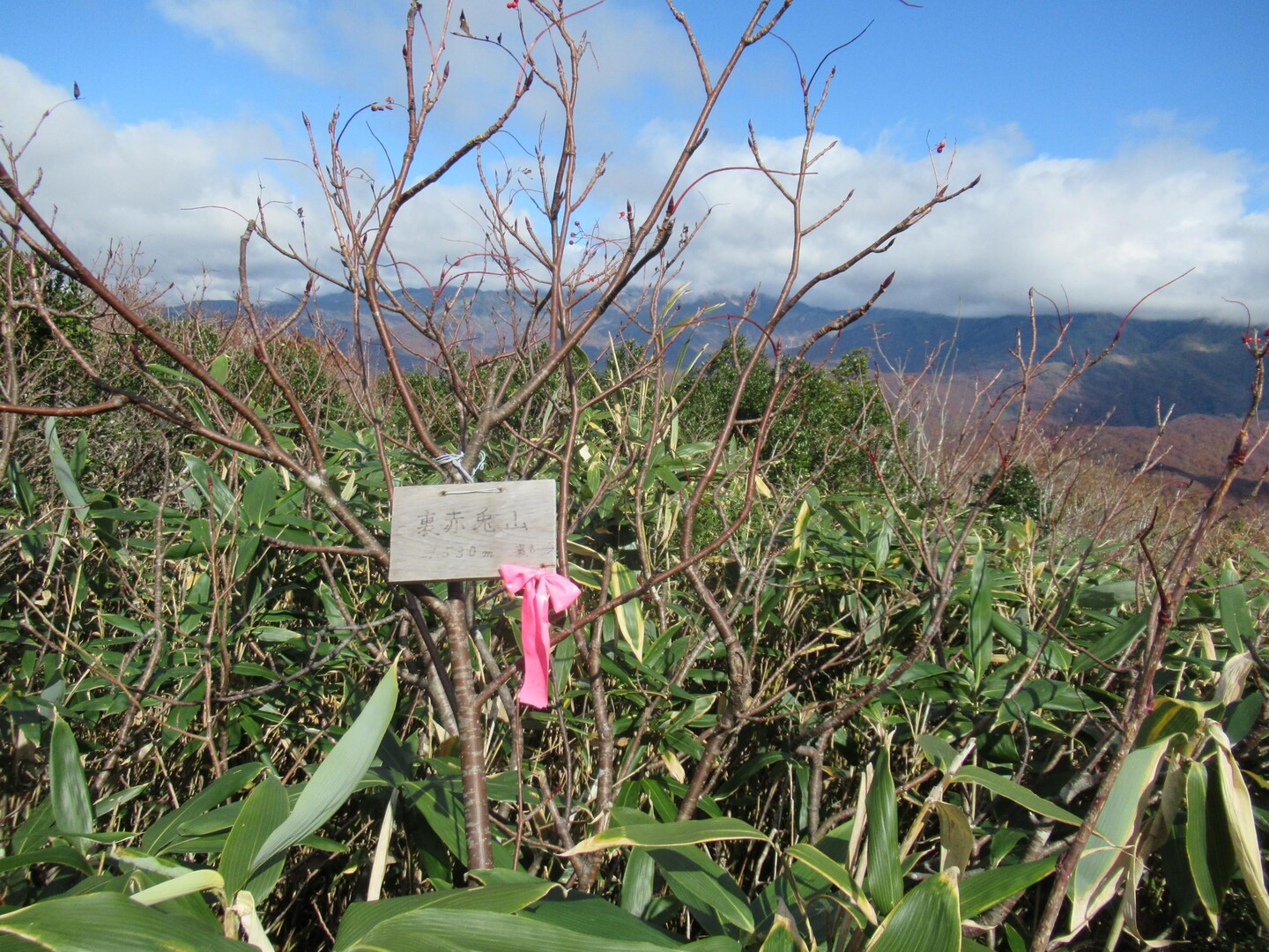 赤兎山・裏赤兎山 / ni-tanさんの赤兎山・猪鼻山の活動データ | YAMAP / ヤマップ