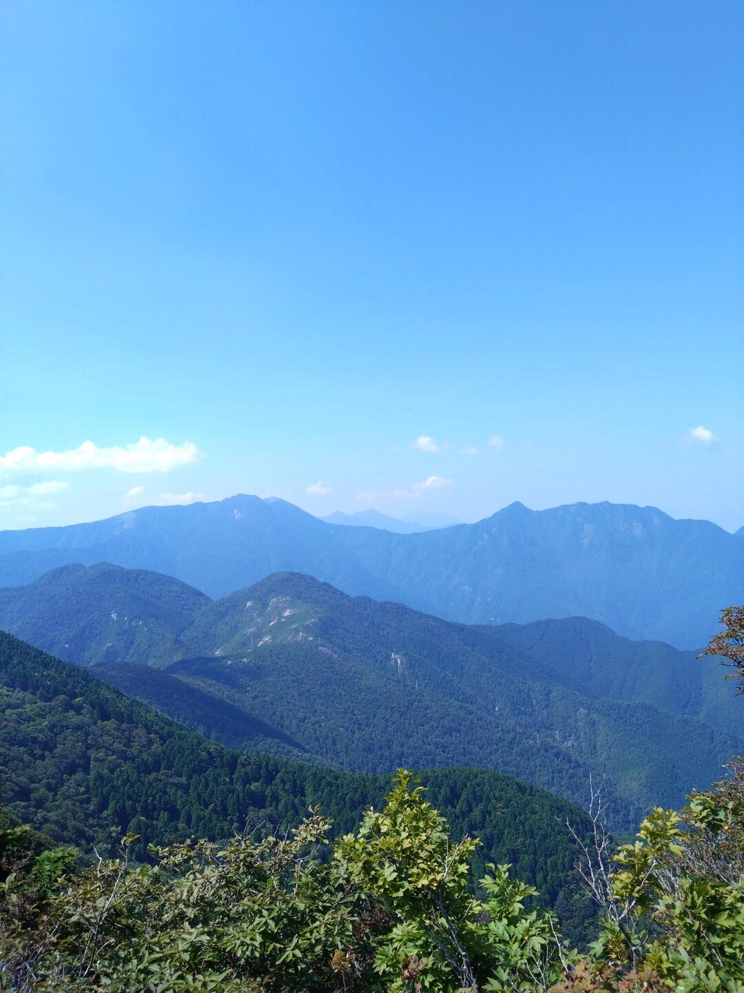 日浦ー西赤石山 / ロッシーナさんの東赤石山・西赤石山・物住頭の活動データ | YAMAP / ヤマップ