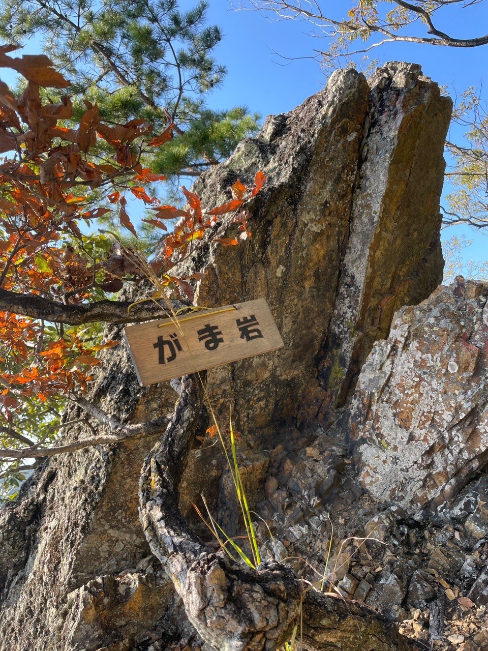 大坊山⛰↔️妙義山⛰ / HAMHAM21さんの大小山（妙義山）・西場富士の活動データ | YAMAP / ヤマップ