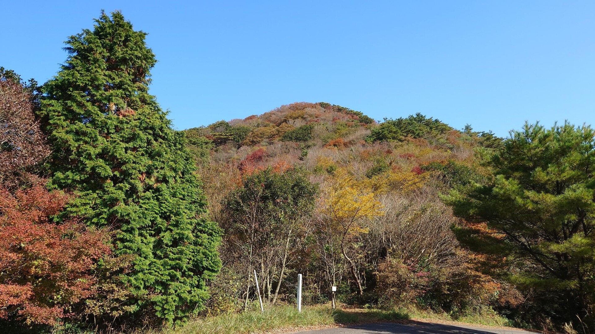 奥作礼897ピーク / 中高年登山さんの作礼山の活動データ | YAMAP / ヤマップ