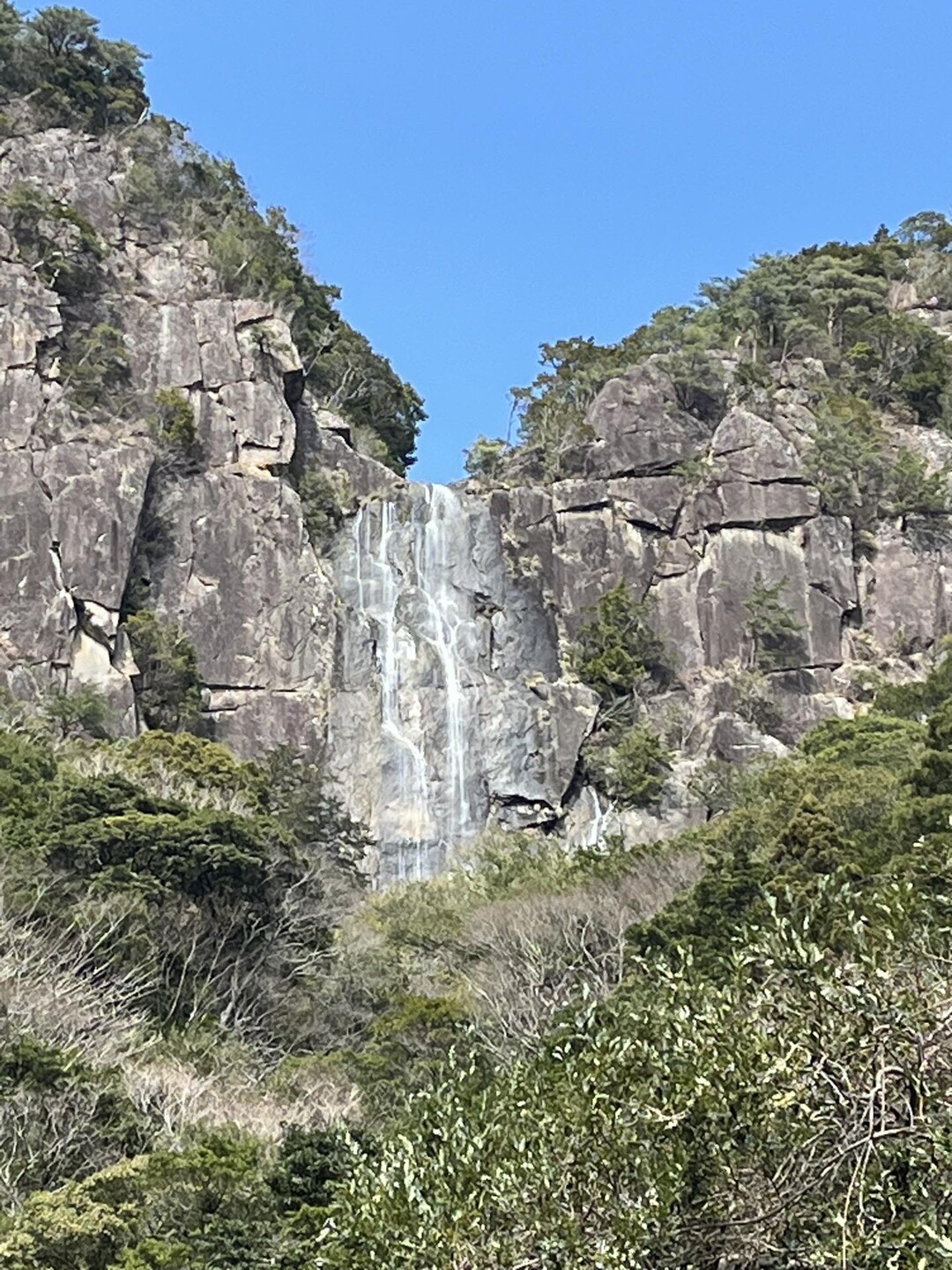 行縢山（むかばきやま）は今が良かった♡ / chiitaさんの行縢山の活動データ | YAMAP / ヤマップ