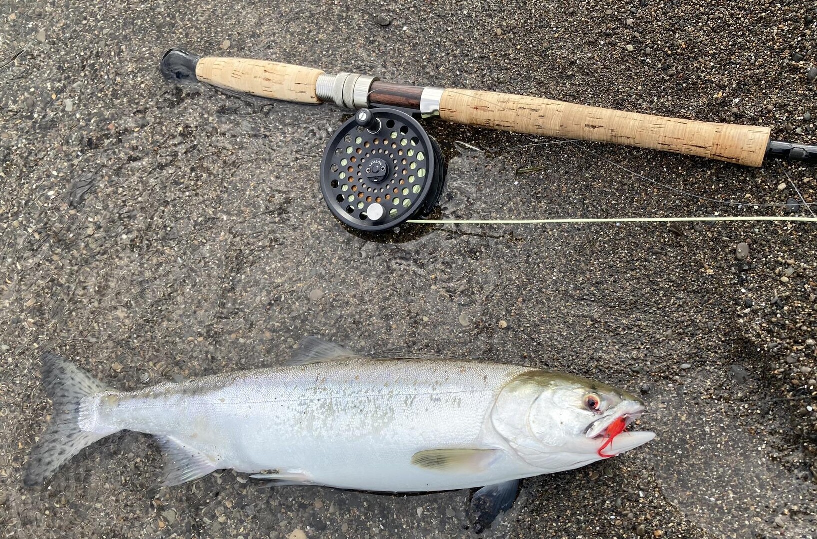 昨年は病気入院で行けませんでしたが、25... / RYUさんのモーメント | YAMAP / ヤマップ