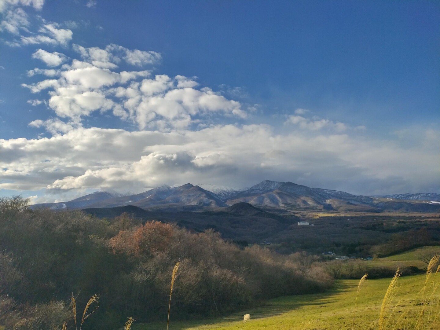 七五六山 / drumscoさんの青麻山の活動データ | YAMAP / ヤマップ