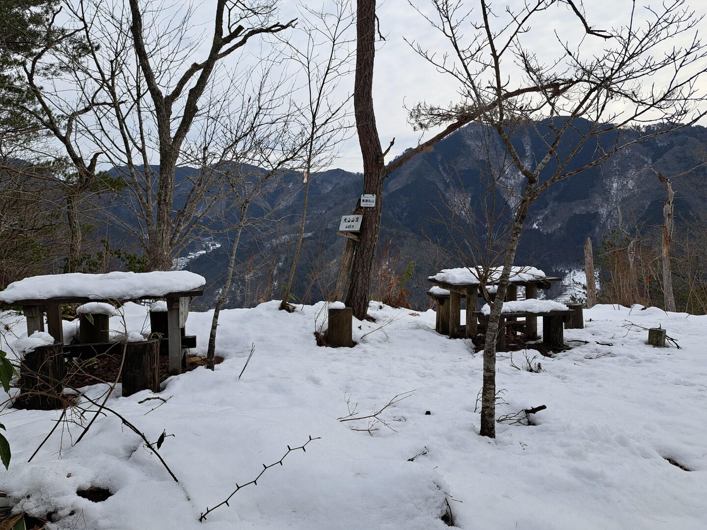 ちょっと雪遊びがしてみたくて ️ 津浪丸山・小丸山 / DSHさんの大丸峯の活動データ | YAMAP / ヤマップ