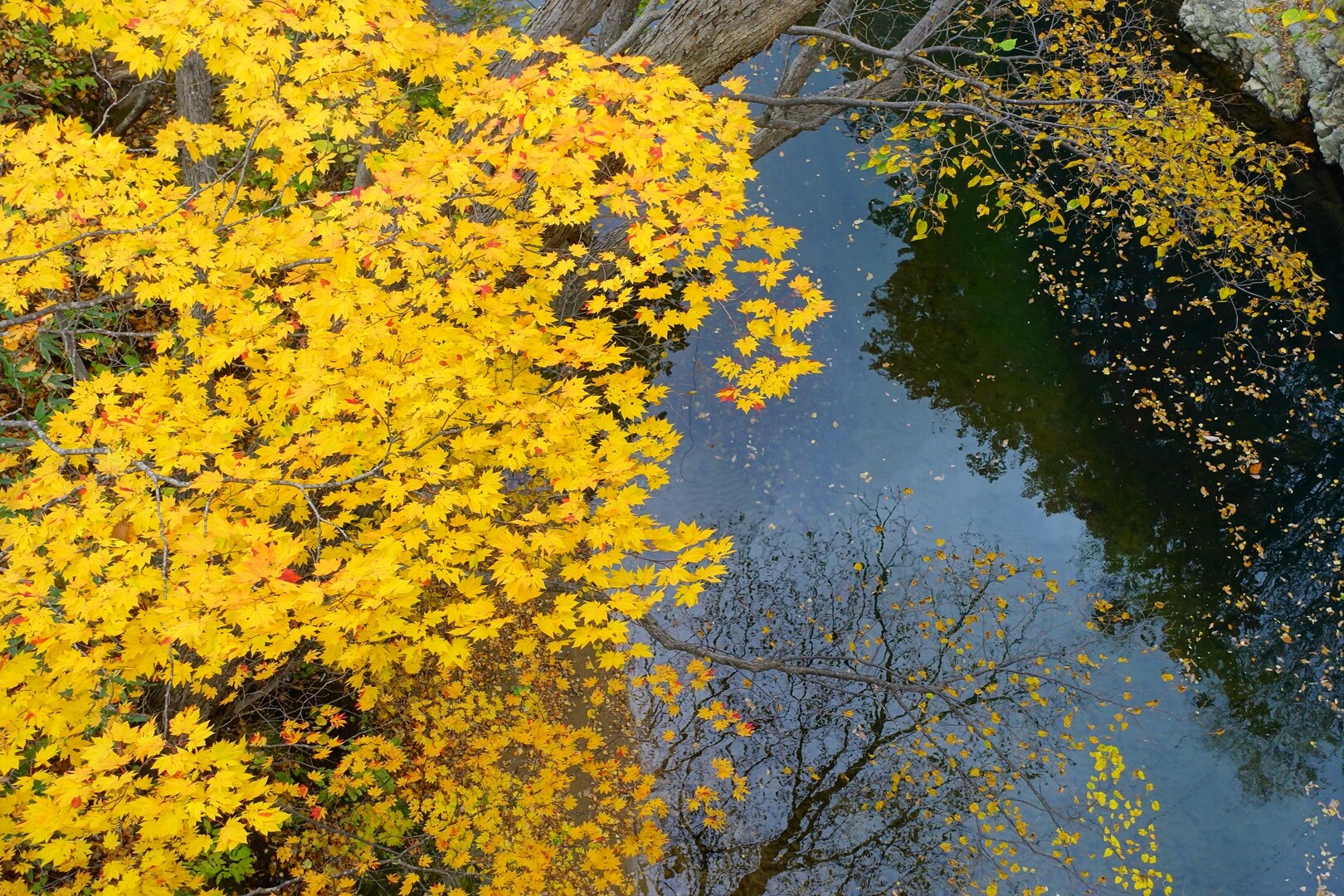🚲北13条橋 - 定山渓 -2022-10-21 / moさんの札幌市の活動データ | YAMAP / ヤマップ