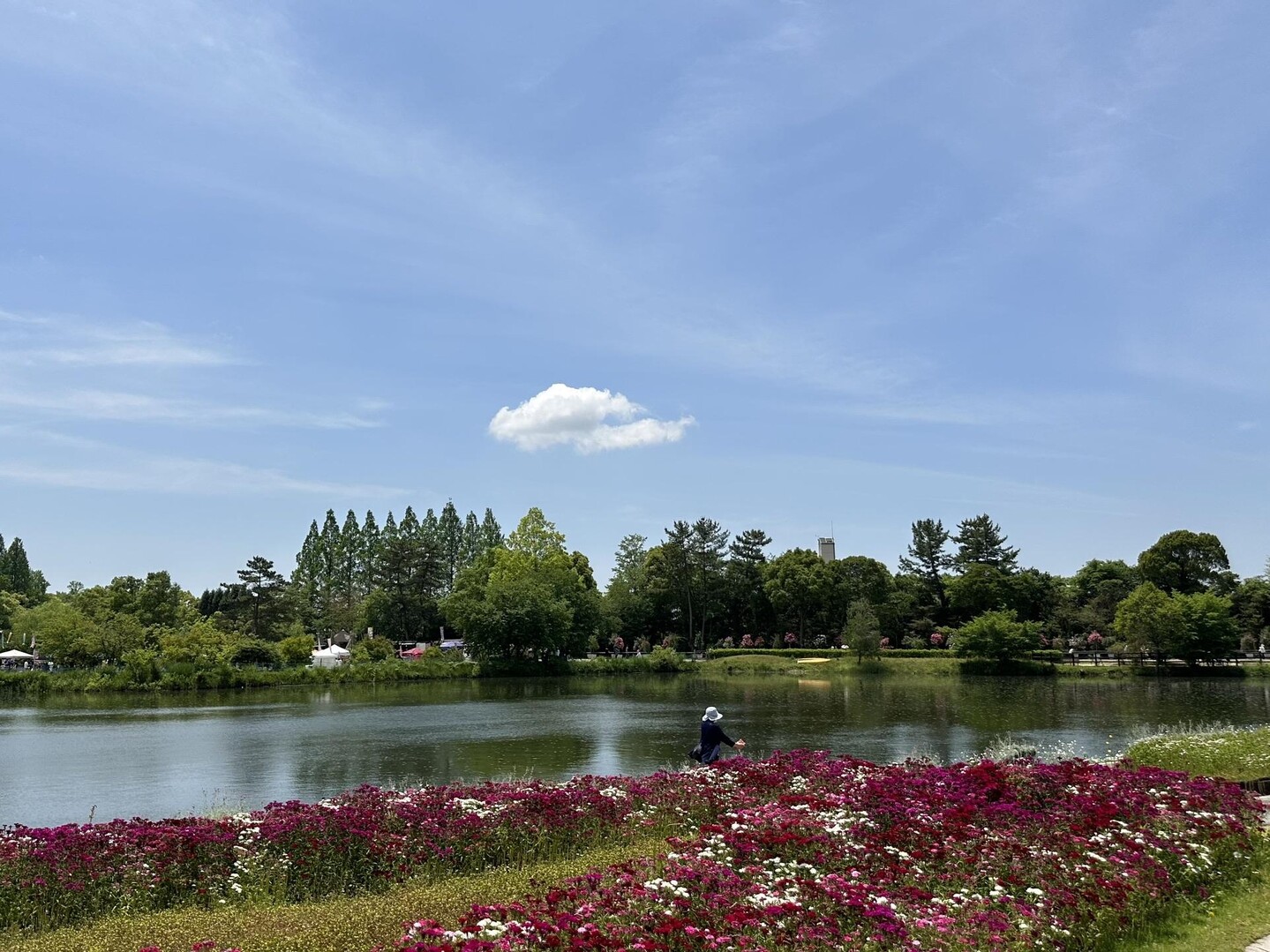 🌹フラワーセンター＆飯盛山 / maru ️さんの加西アルプス・笠松山・善防山の活動データ | YAMAP / ヤマップ
