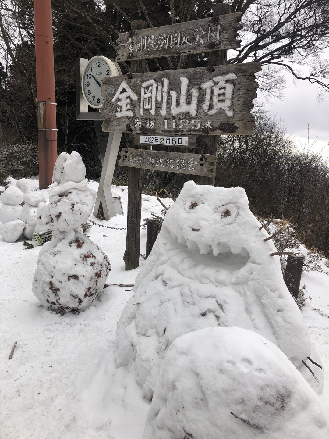 金剛山↑マツバカケ尾（不動道）↓郵便道 へっぽこ登山さんと会えた！ / ta_ba8016さんの金剛山・二上山・大和葛城山の活動データ | YAMAP / ヤマップ