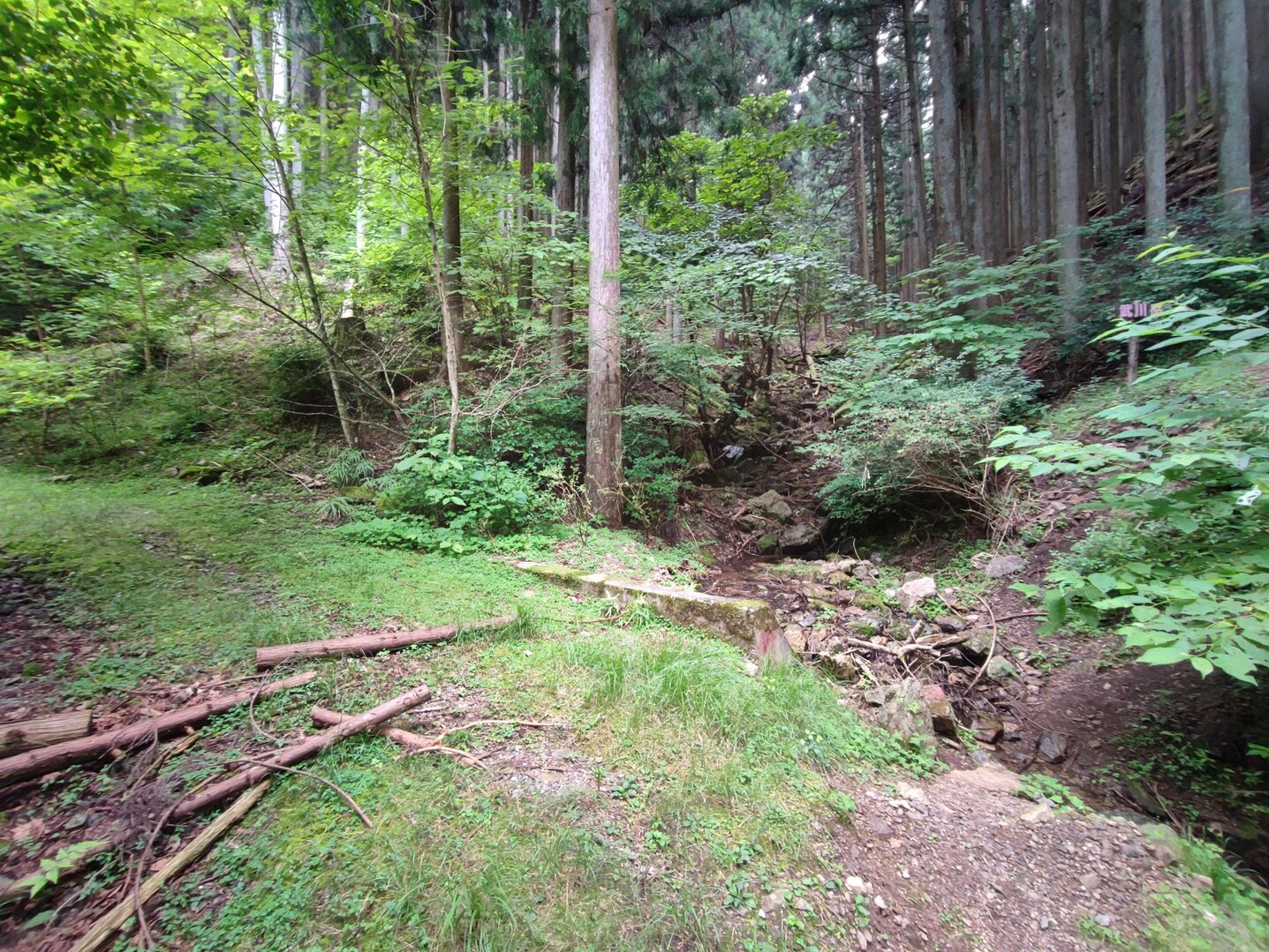 Goさんの投稿したフィールドメモ | YAMAP / ヤマップ