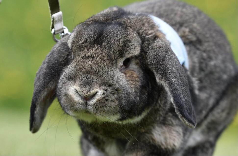 TUTAのページ | YAMAP / ヤマップ