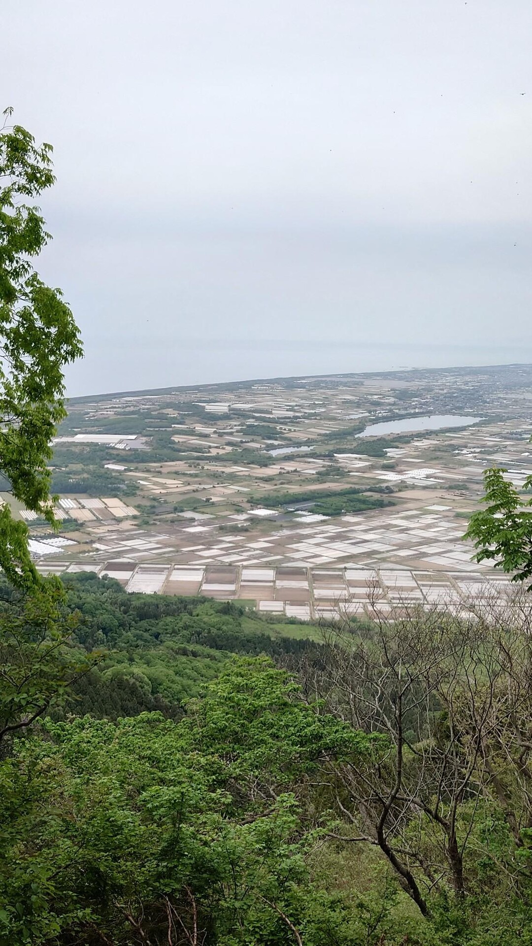 角田山（長者原山） / ko1さんの角田山の活動データ | YAMAP / ヤマップ