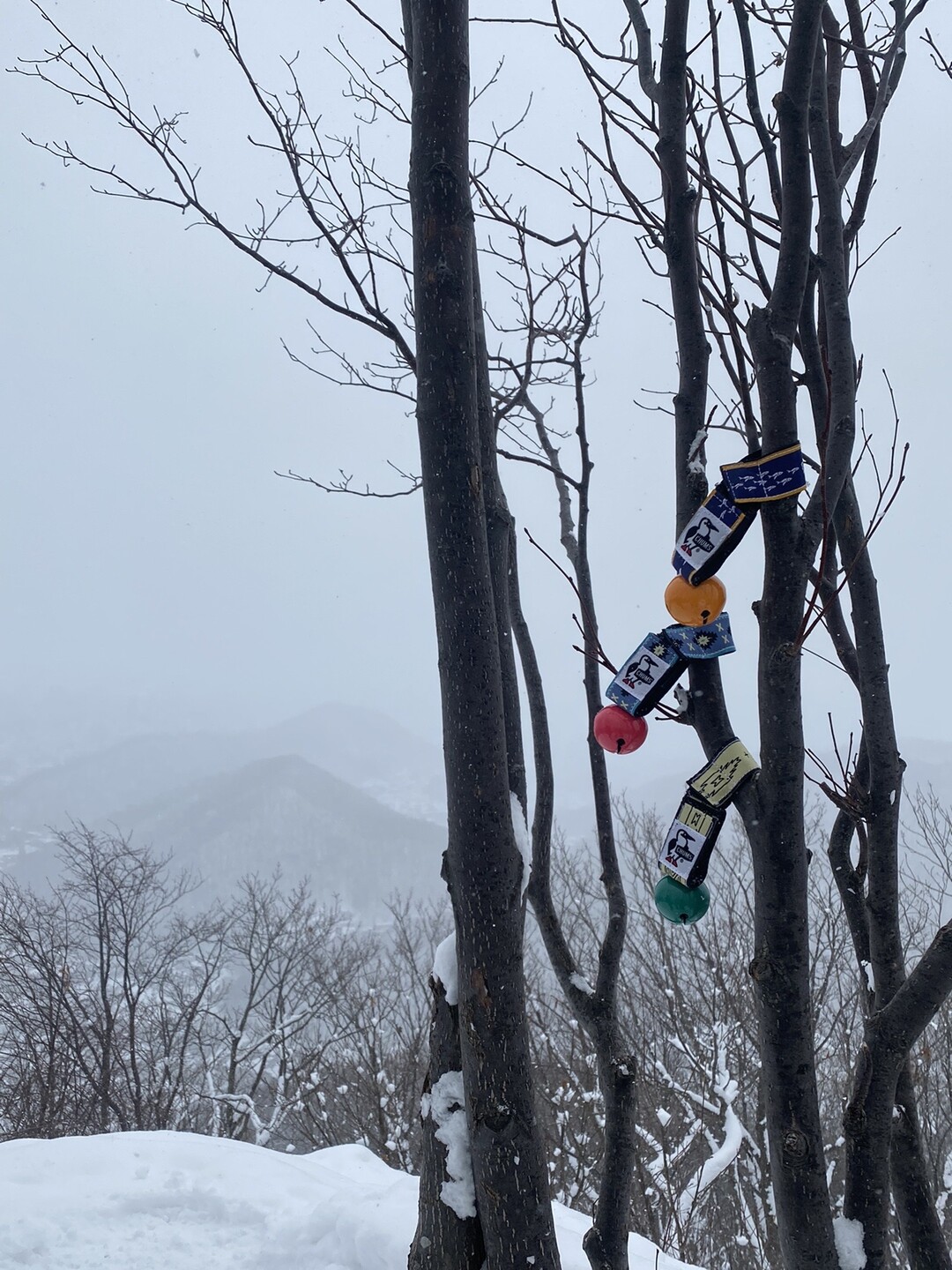 2022年登り初め三角山・大倉山・奥三角山(よこして山) / mi-koさんの三角山・大倉山・円山の活動データ | YAMAP / ヤマップ