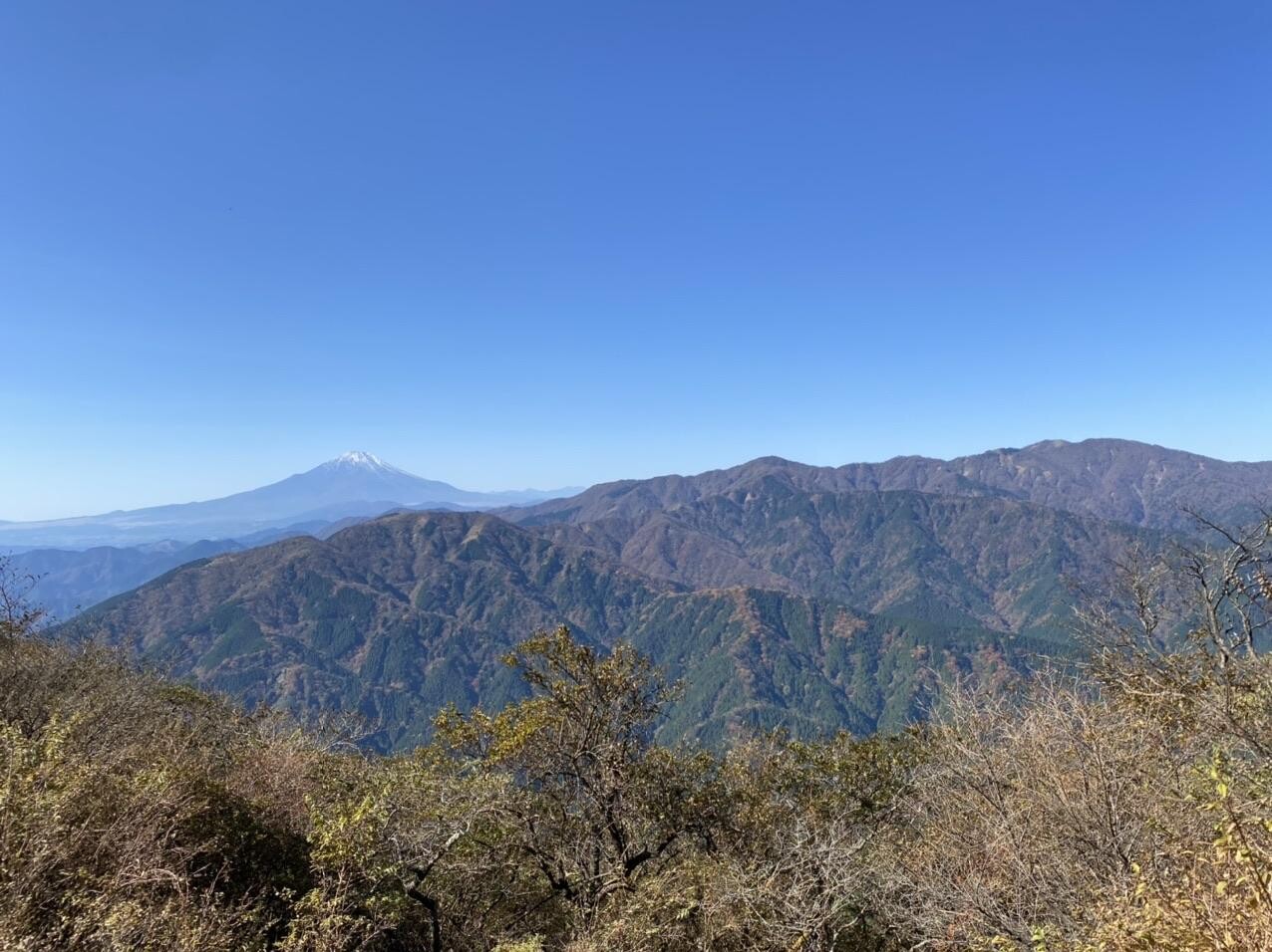 大山 / 7-Kazuさんの大山の活動データ | YAMAP / ヤマップ