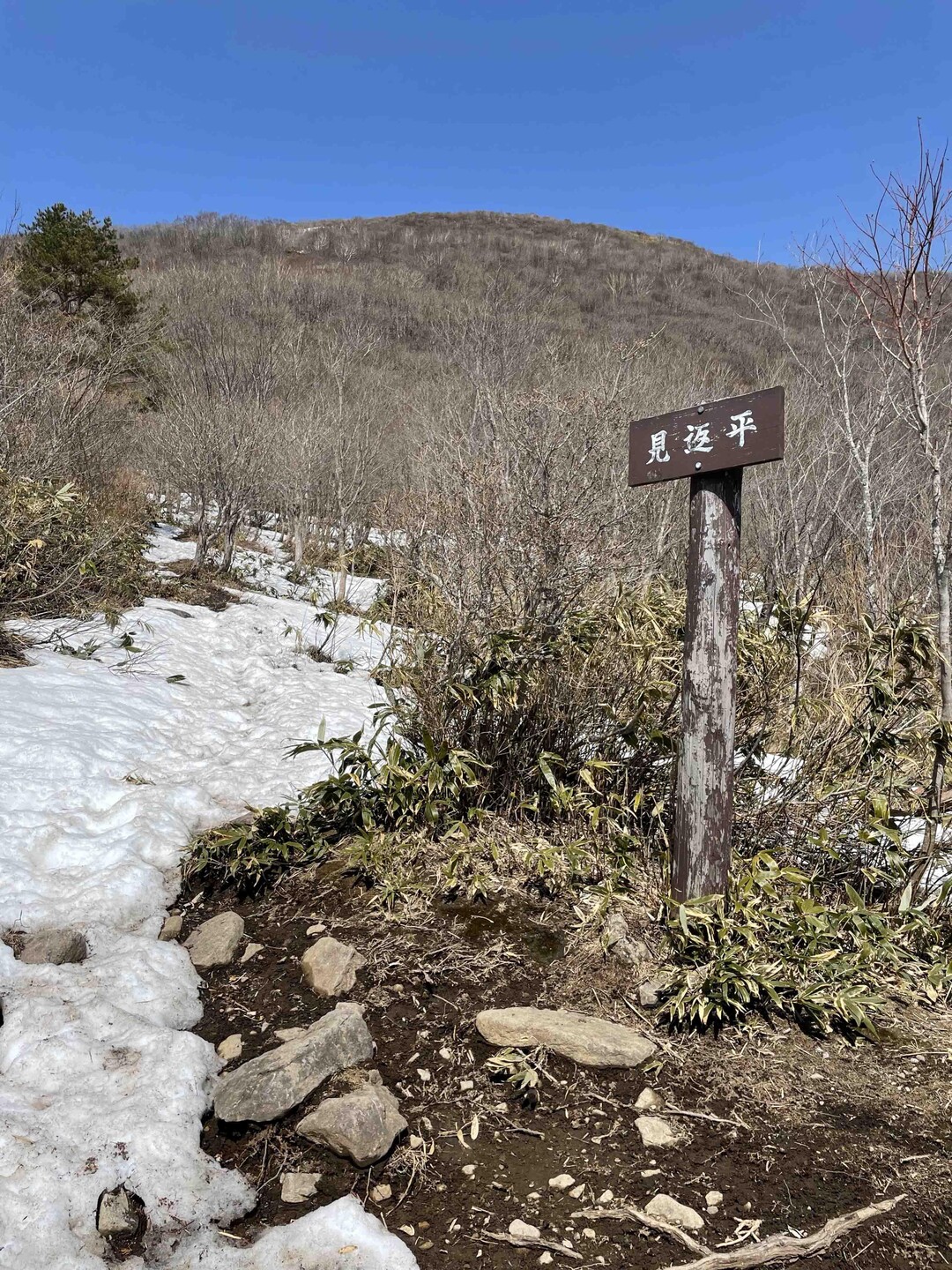 泉ヶ岳の残雪歩行😥 / KOHさんの船形山（御所山）・泉ヶ岳・蛇ヶ岳の活動データ | YAMAP / ヤマップ
