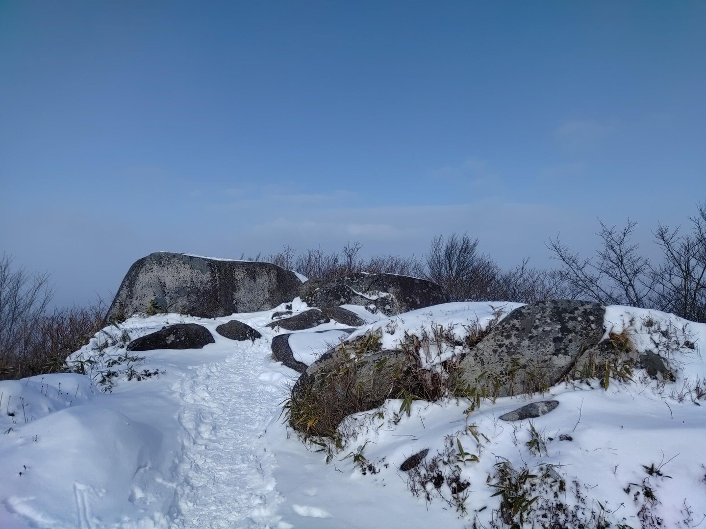 蓬田岳 / hidejさんの蓬田岳の活動データ | YAMAP / ヤマップ