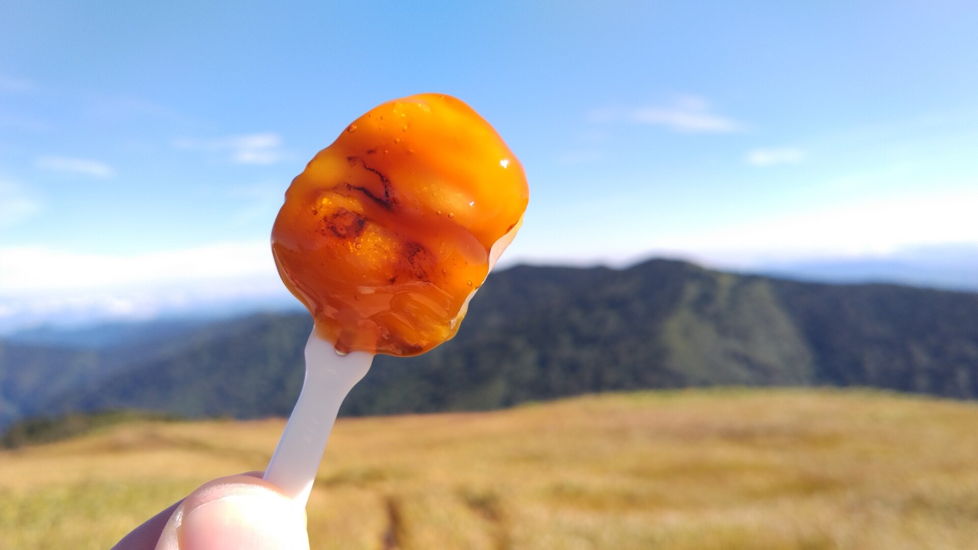 Tシャツ！会津駒ヶ岳！ / kohirouさんの尾瀬・燧ヶ岳の活動データ | YAMAP / ヤマップ