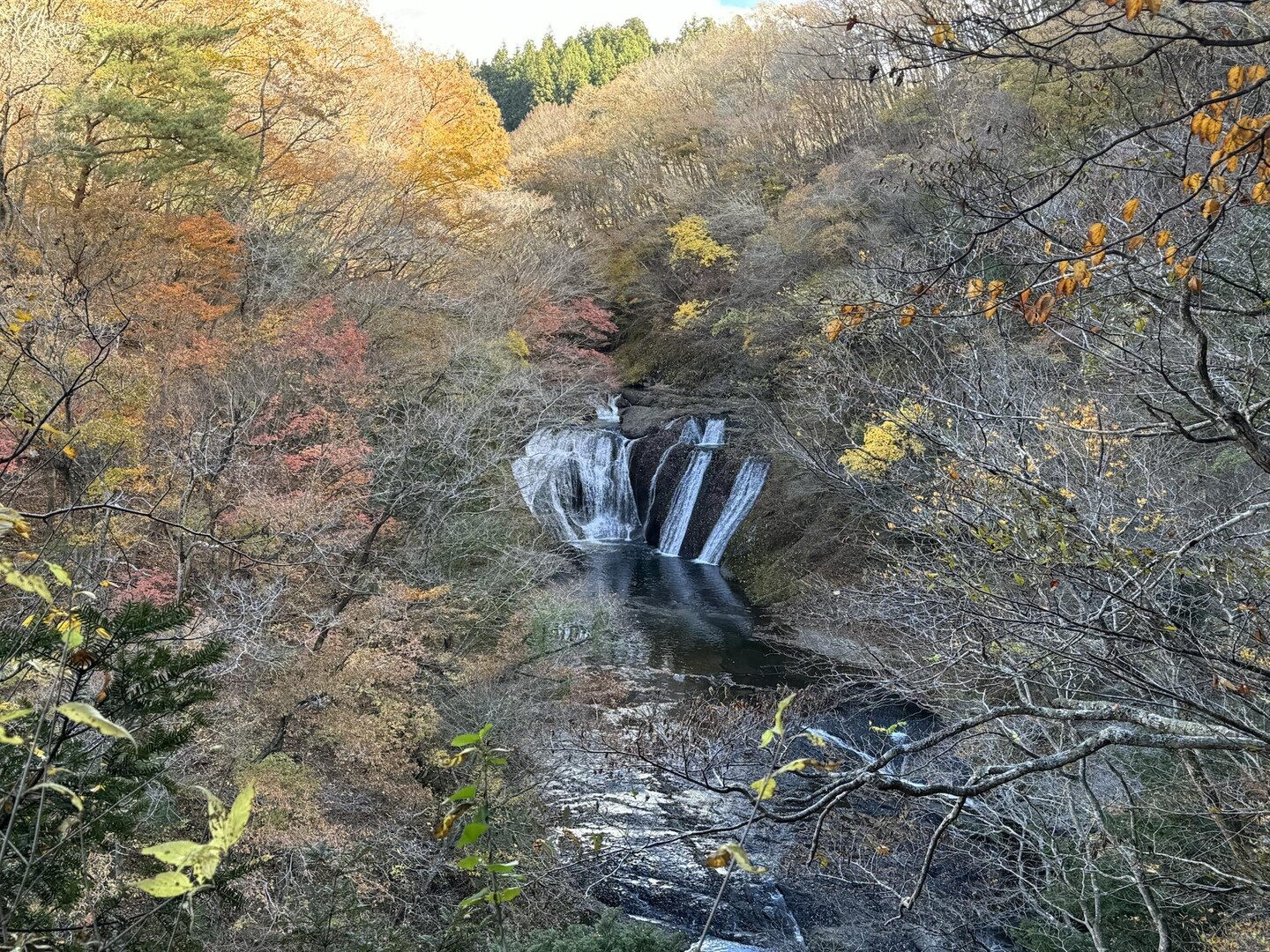 月居山 / aomoriさんの奥久慈男体山・月居山・篭岩（篭岩山）の活動データ | YAMAP / ヤマップ