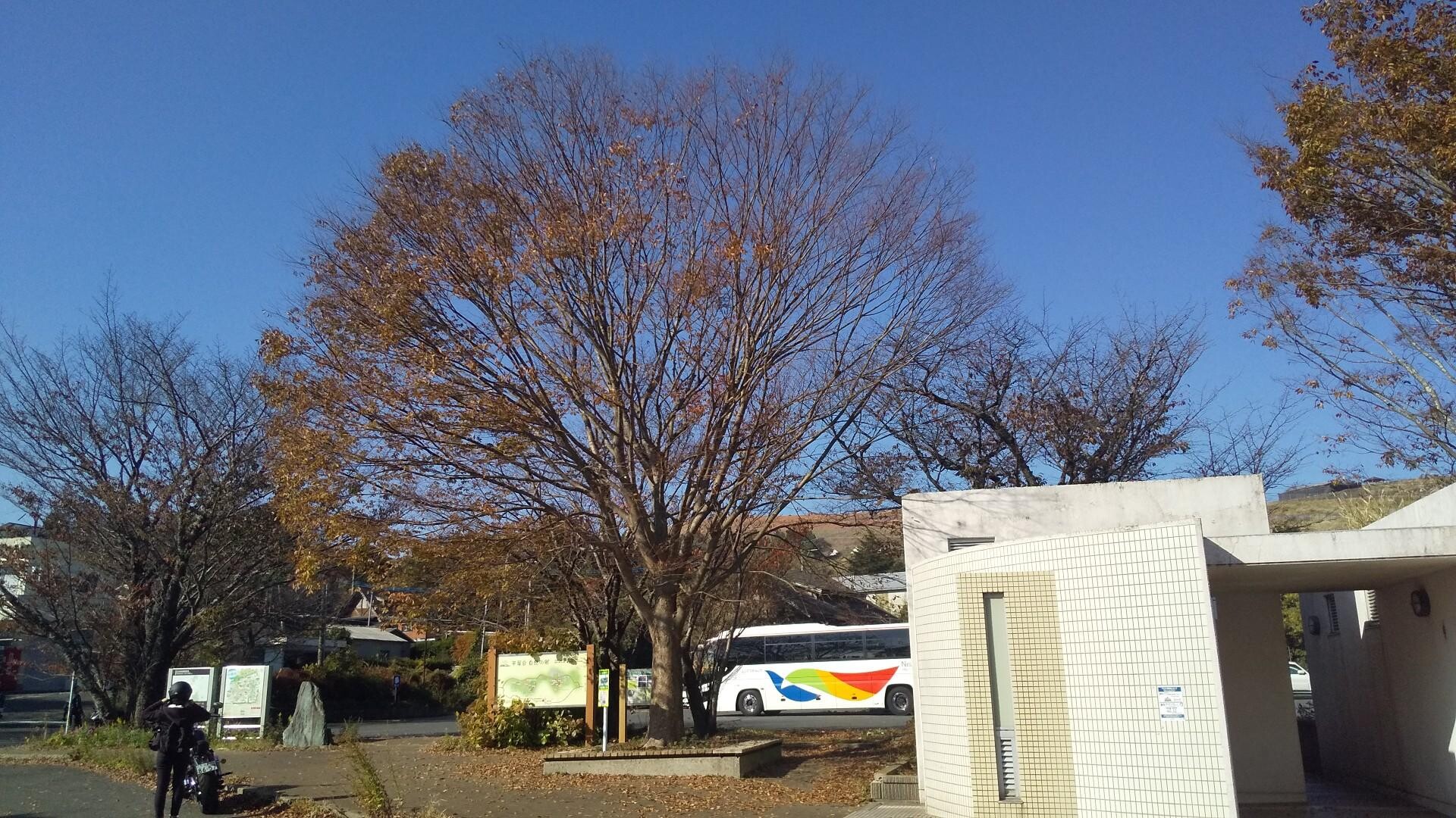 平尾台周辺散歩 / HIROSHIさんの平尾台トレイルランニングレースの活動データ | YAMAP / ヤマップ