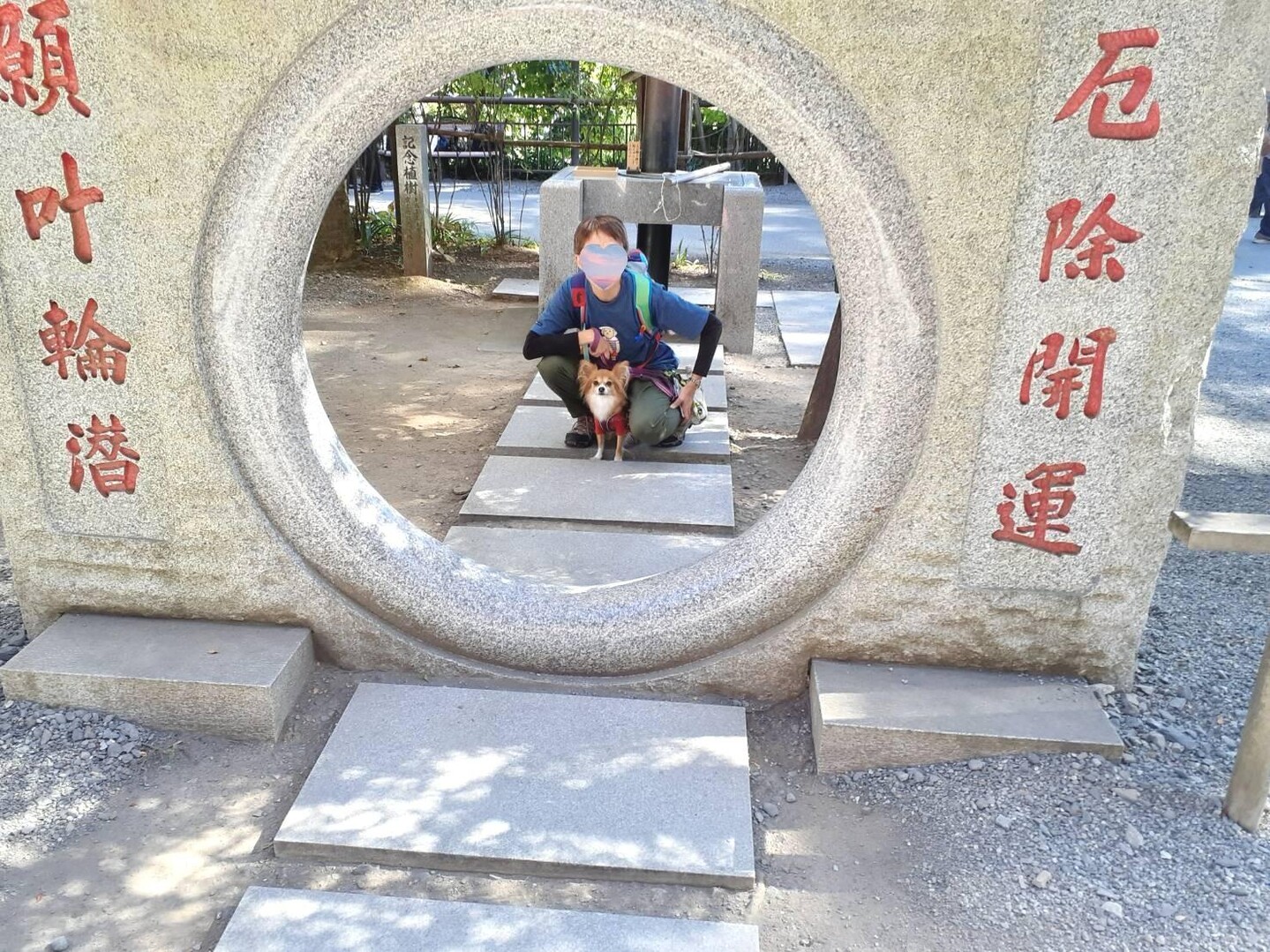 高尾山ケーブルカー / ayakootaさんの高尾山・陣馬山・景信山の活動データ | YAMAP / ヤマップ