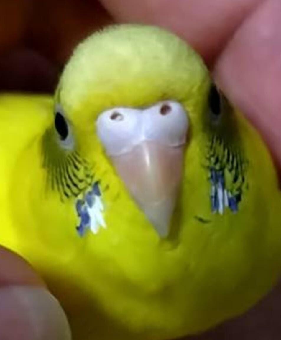 CoCoのページ | YAMAP / ヤマップ