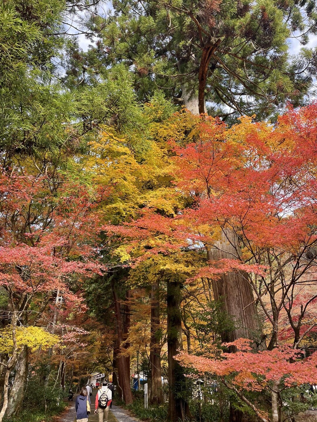 天王山 / sugiさんの天王山・誕生山の活動データ | YAMAP / ヤマップ