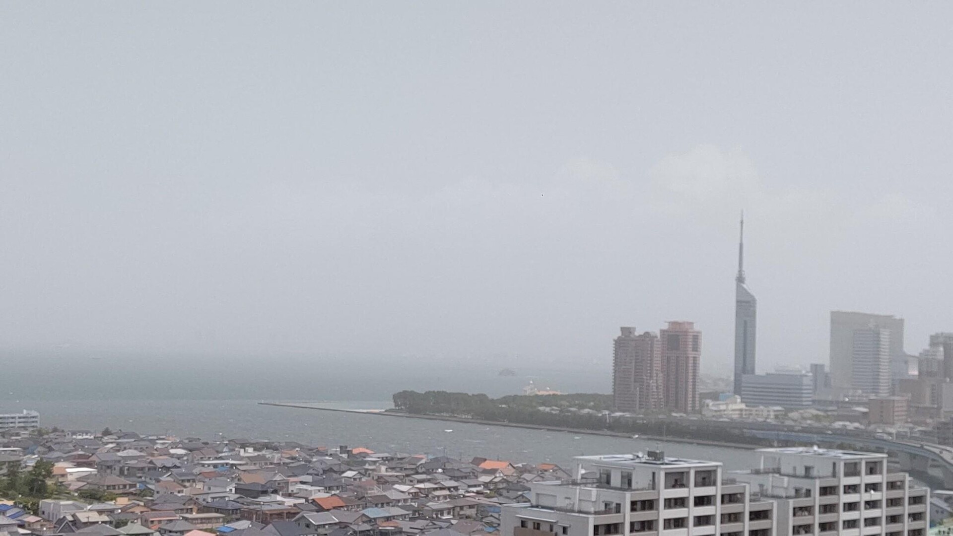 47😆愛宕山 / megさんの能古島の活動データ | YAMAP / ヤマップ