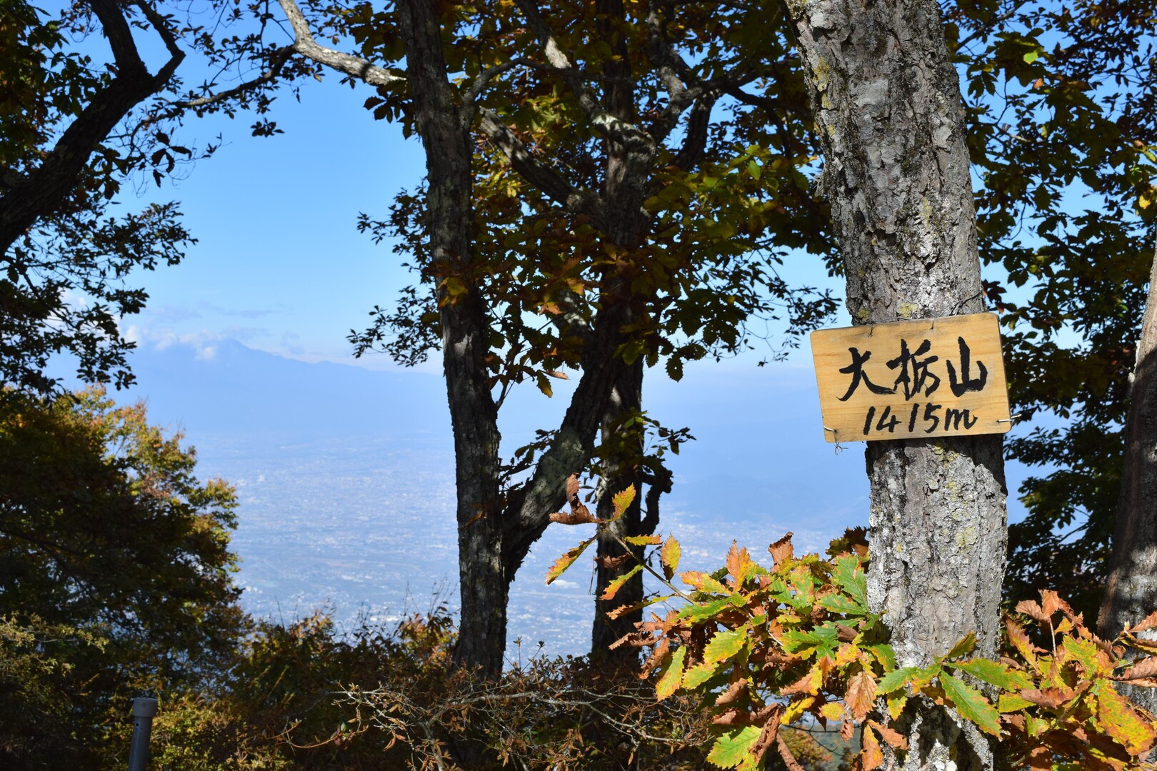 大栃山 / teru71さんの釈迦ヶ岳・大栃山の活動データ | YAMAP / ヤマップ
