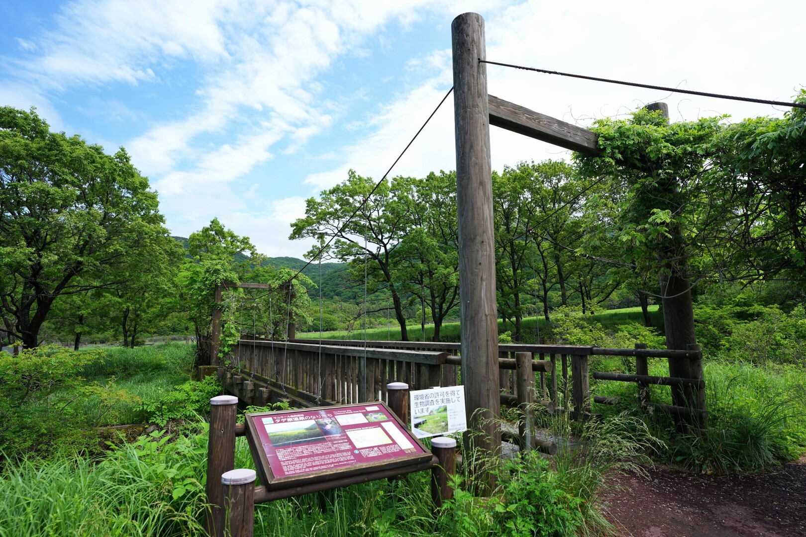 タデ原湿原（大分旅行4日間の1日目） / アキチャン1491さんの涌蓋山・猟師山の活動データ | YAMAP / ヤマップ