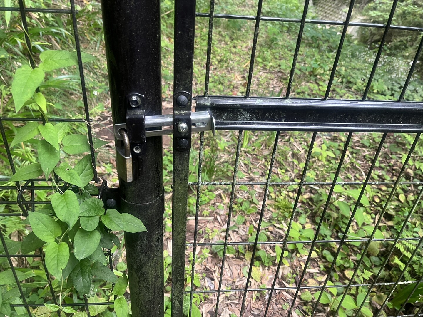 seiさんの投稿したフィールドメモ | YAMAP / ヤマップ