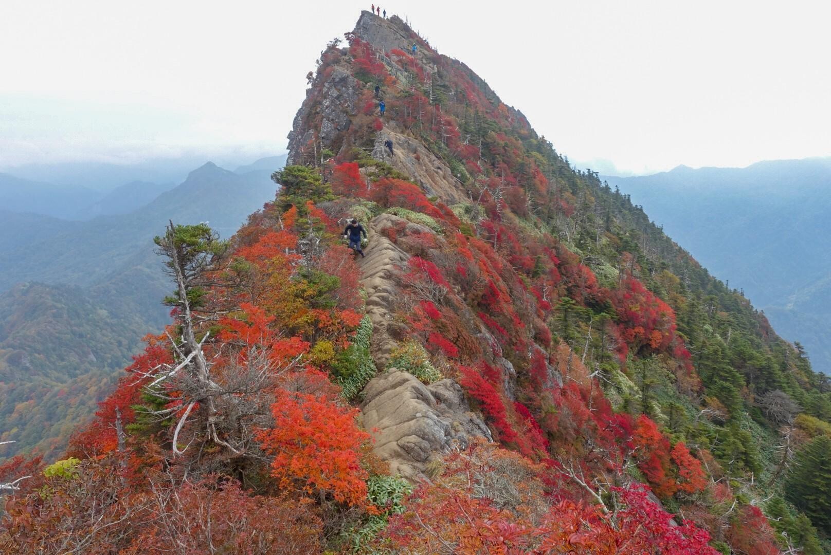 石鎚山・天狗岳 / jackalさんの石鎚山・堂ヶ森・二ノ森の活動データ | YAMAP / ヤマップ