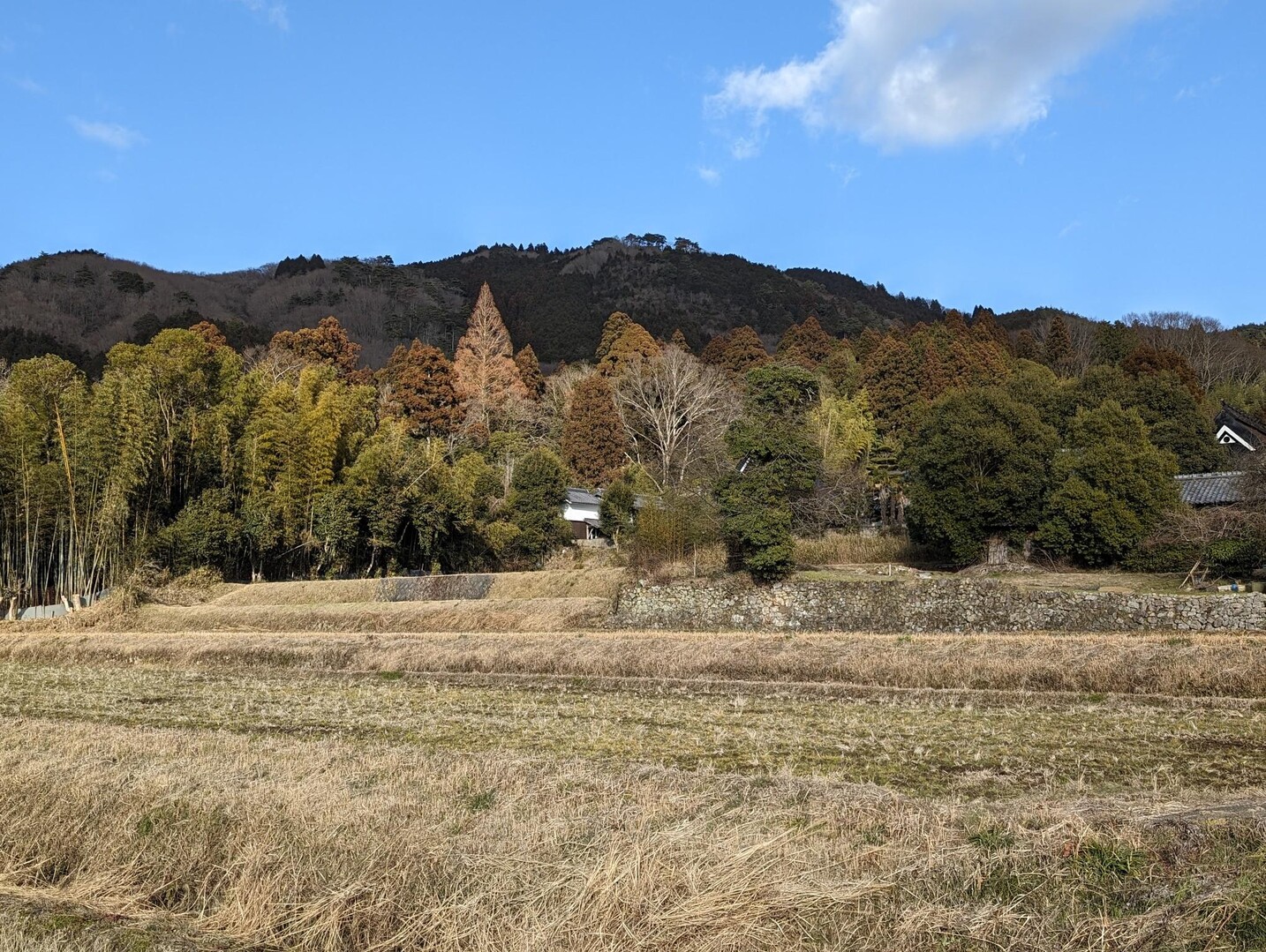 鴻応山で無線遊び SOTA#JA/OS-004 / solo＊walker/midoさんの能勢妙見山・歌垣山・天台山の活動データ | YAMAP / ヤマップ