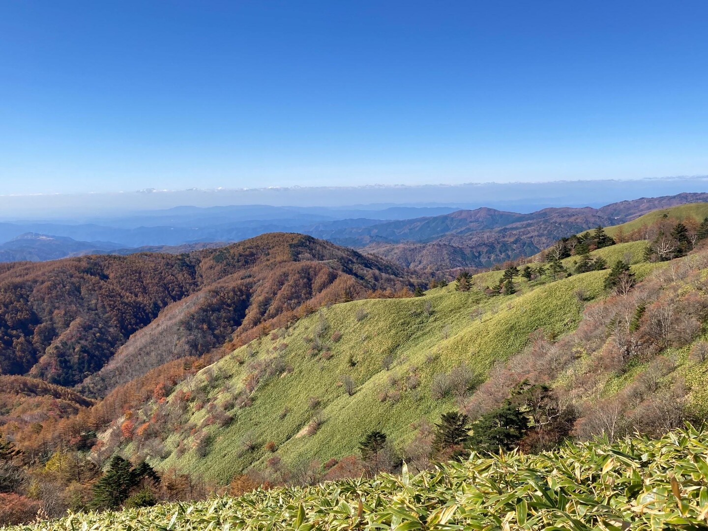 横岳・大川入山 / Tigerさんの大川入山・横岳の活動データ | YAMAP / ヤマップ